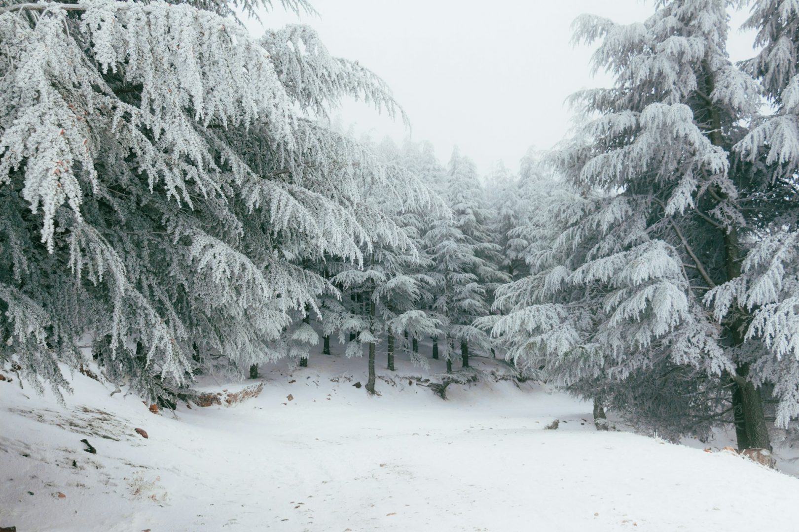 6 Winter Weather Communication Strategies - ChurchSpring